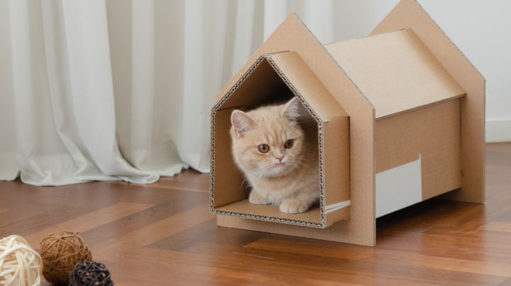 Samsung's boxes can be turned into eco-friendly homes for pets ...