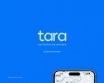Tara app announced as a cost-effective Grab alternative in the ...